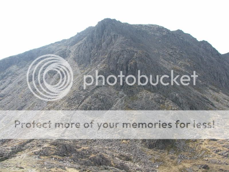 help with these 2 photos of bristly ridge