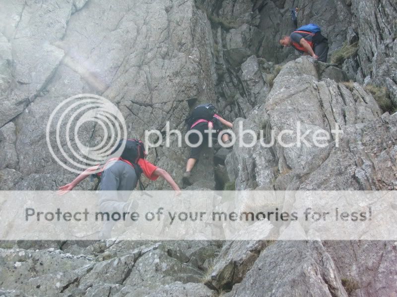 help with these 2 photos of bristly ridge