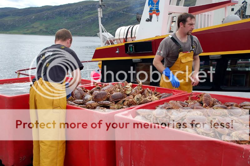 Scottish Crab Industry. | WatchUSeek Watch Forums