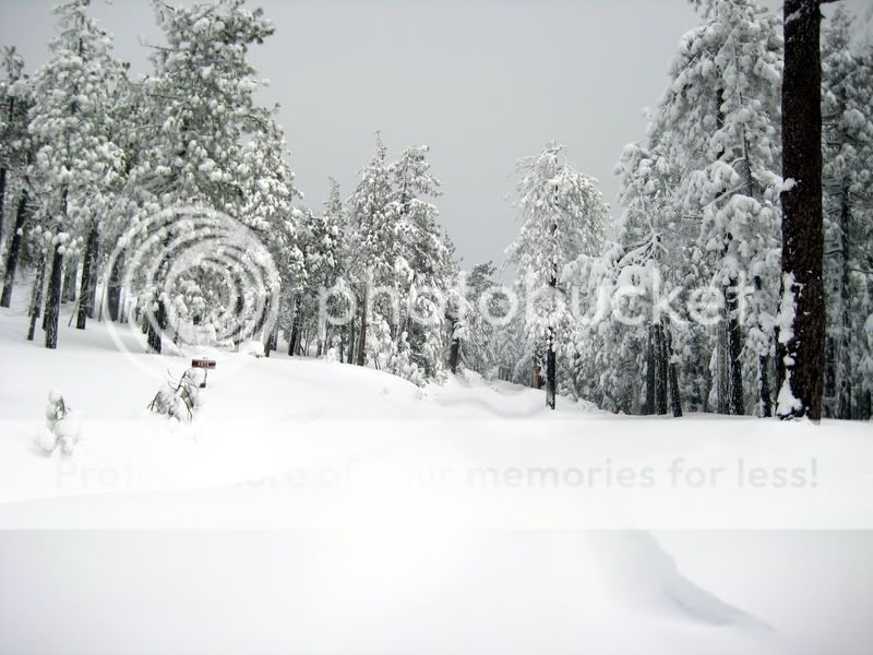 Humboldt -Titlow Hill | Pirate 4x4