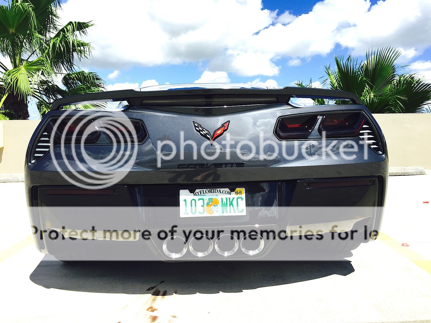 Painted Rear Tear Drop Bezels - CorvetteForum - Chevrolet Corvette ...