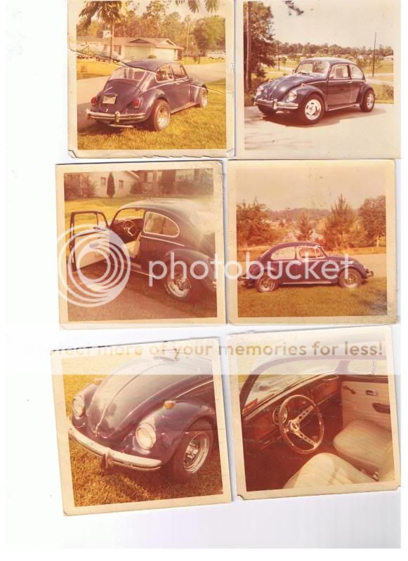 TheSamba.com :: General/Chat - View topic - My VW Family Tree (cool pics)