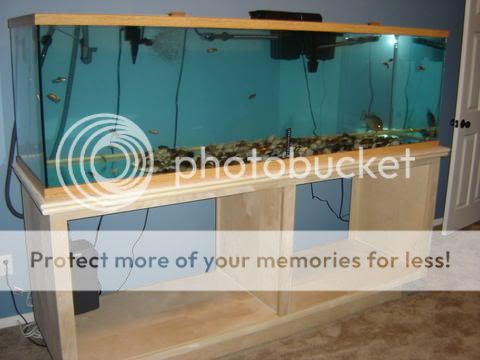 210 gallon glass tank and stand, 8Ft longX 2Ft wideX 2Ft high ...