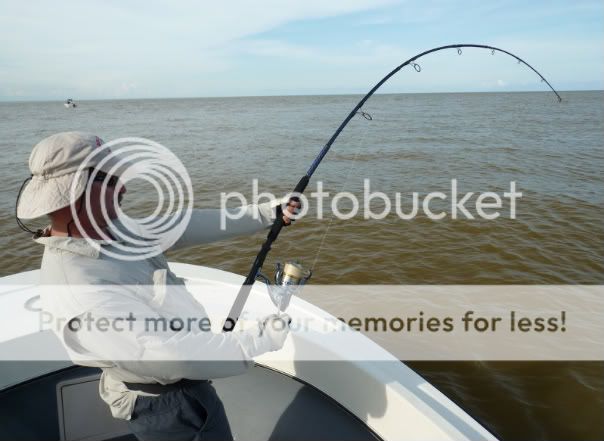 Fox travel rod differences.... | World Sea Fishing Forums